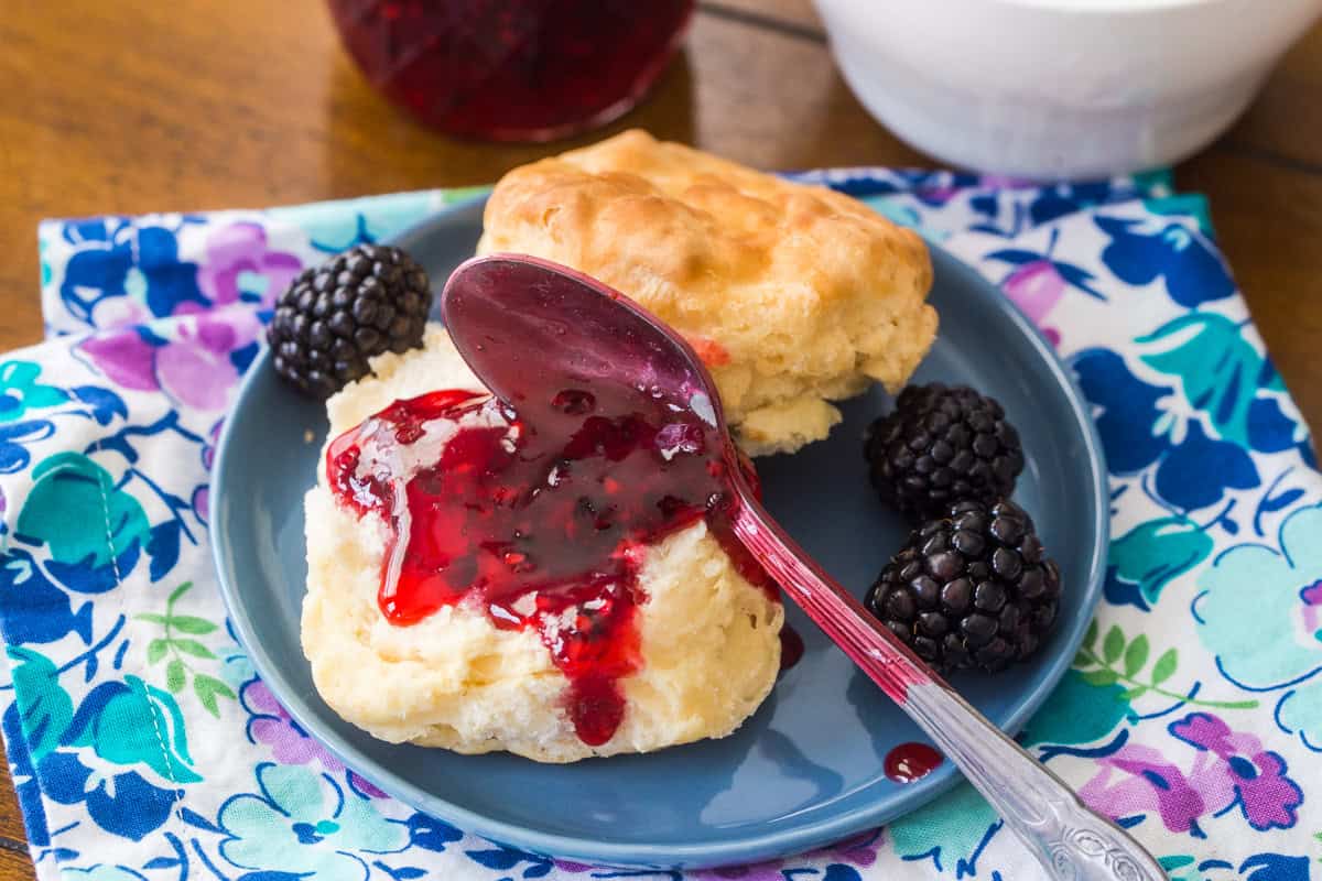 The best no-cook, no corn syrup blackberry freezer jam - Peanut Blossom