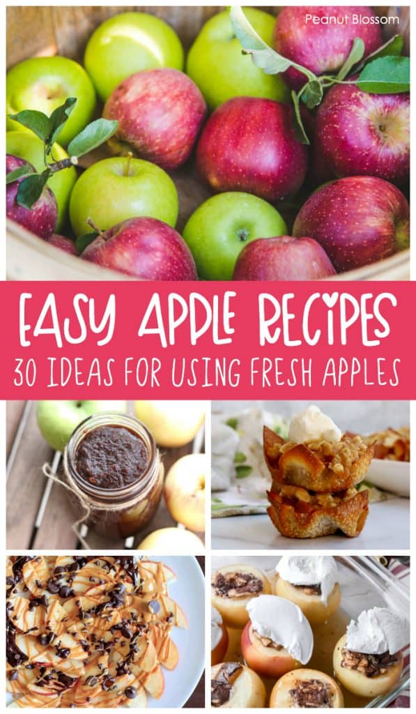 The Best Easy Apple Recipes - Peanut Blossom