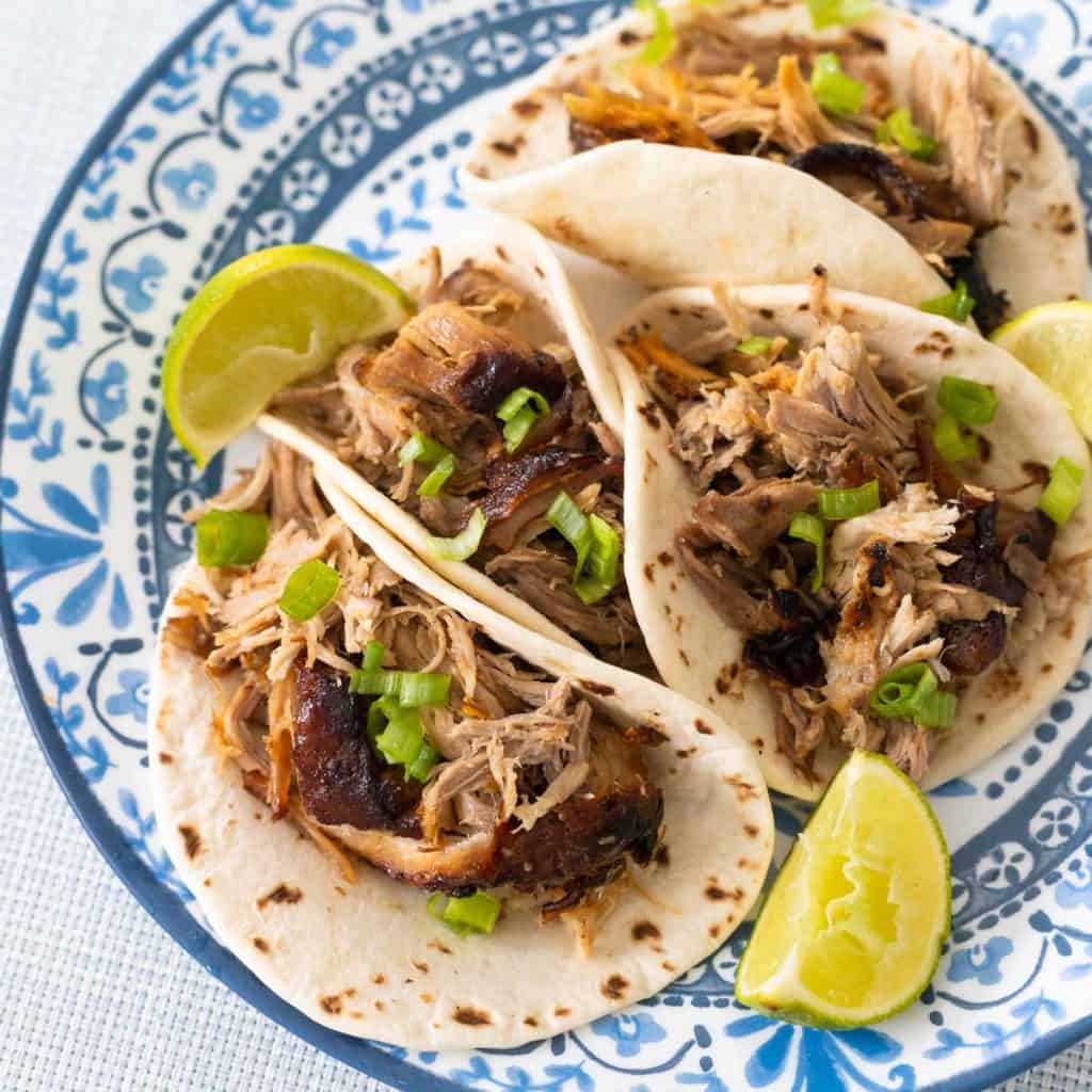 Mexican Pulled Pork Carnitas - Peanut Blossom