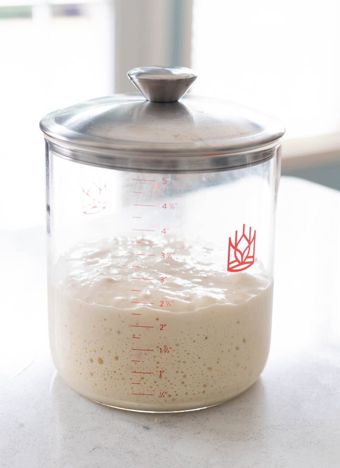 How to Feed Sourdough Starter for Absolute Beginners - Peanut Blossom