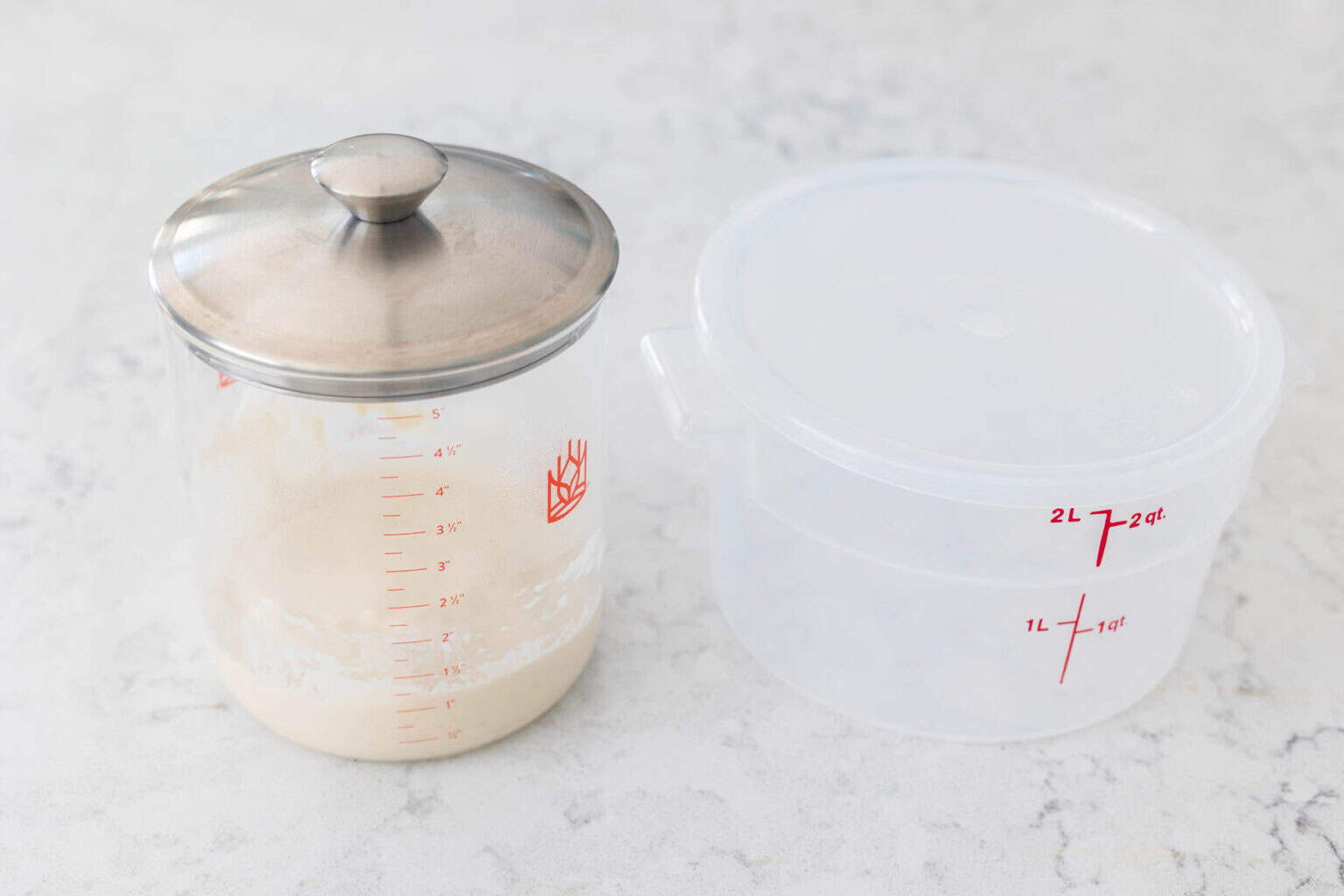 Getting Started with Your New Sourdough Starter - Peanut Blossom